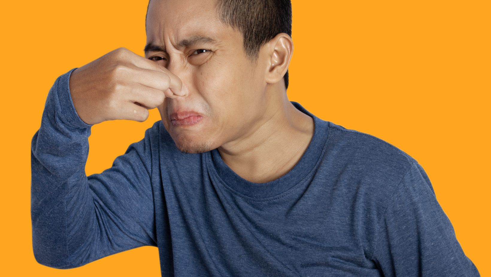 How Freshly Folded Can Help You - Freshly Folded